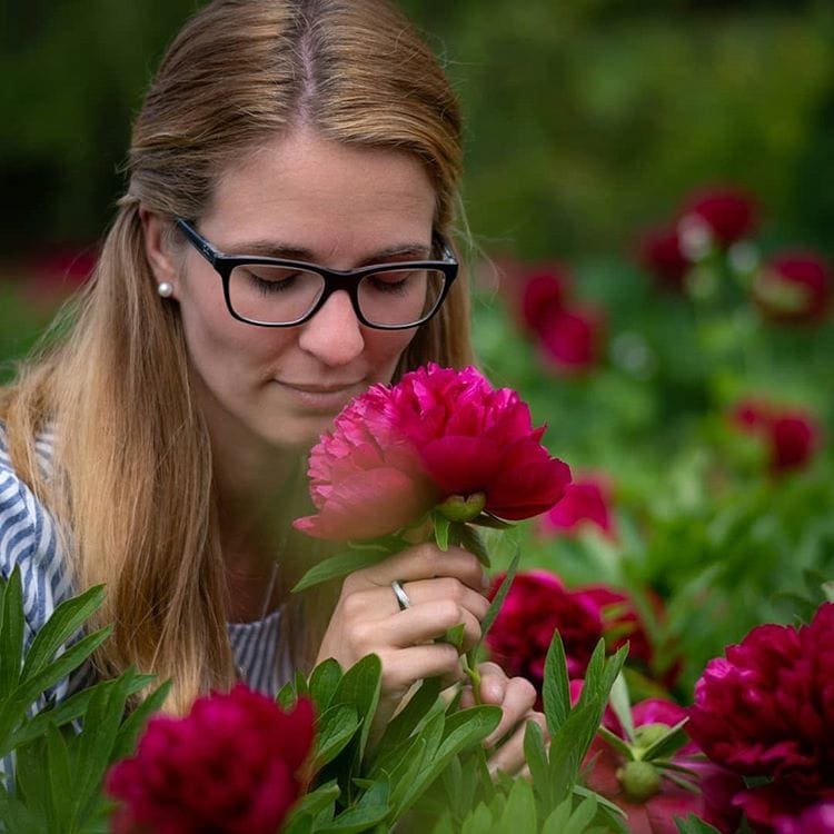astrid apel – The Peony Society