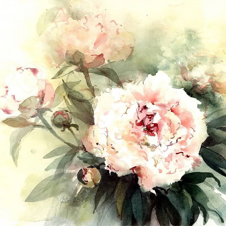 gabriele heckmann aquarelle – The Peony Society