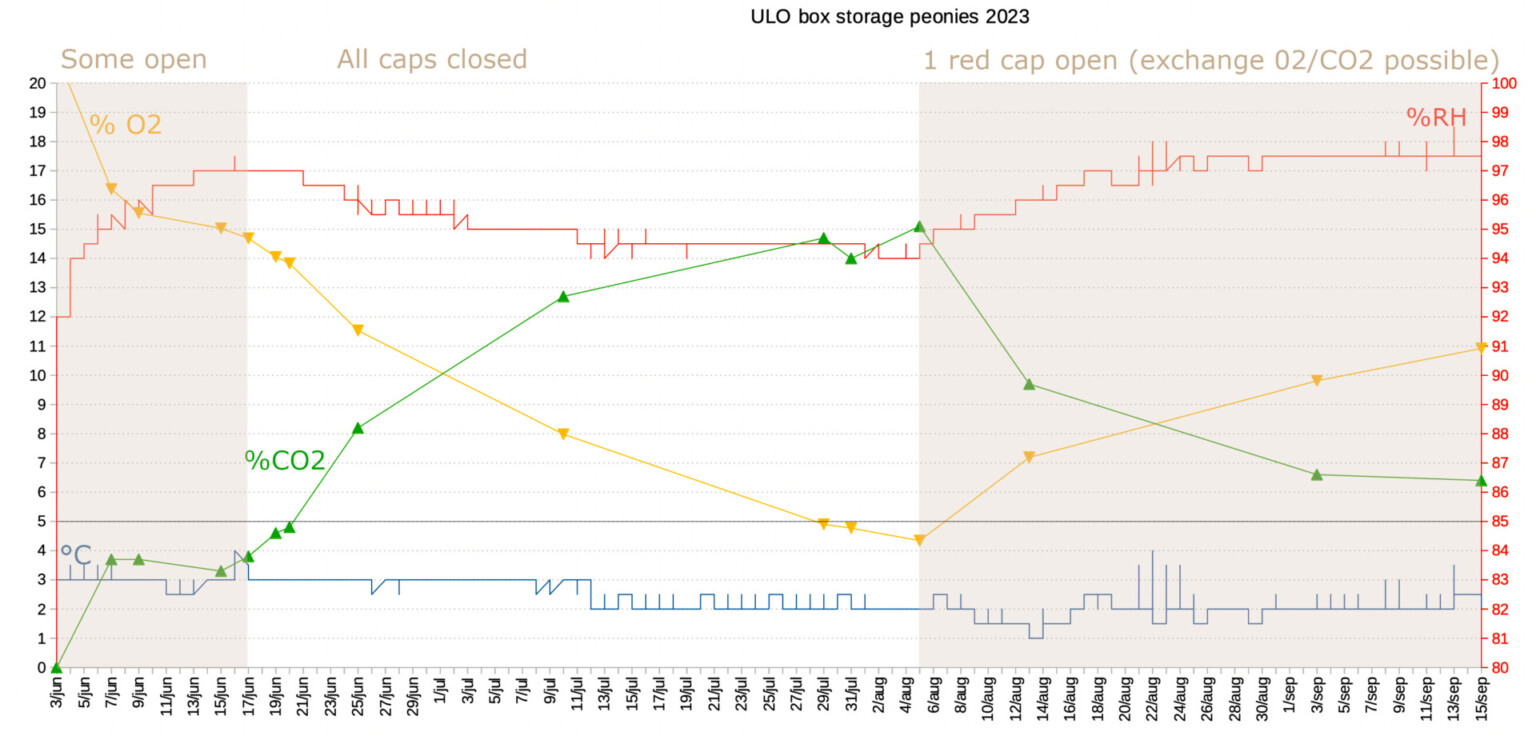 A long term storage experiment year 5 – The Peony Society