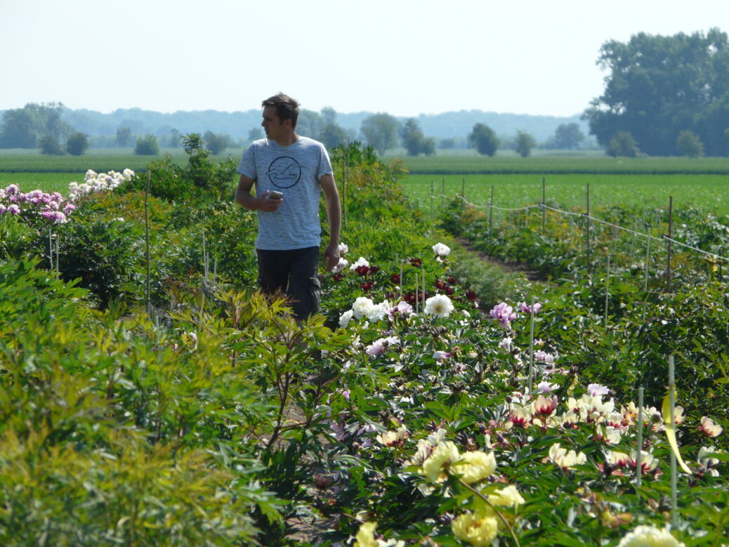 Peony Hybridizers: Giessler Wolfgang and Angelika – The Peony Society
