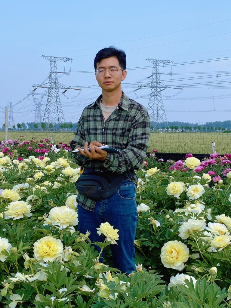 Peony Hybridizers: Yang Yong – The Peony Society